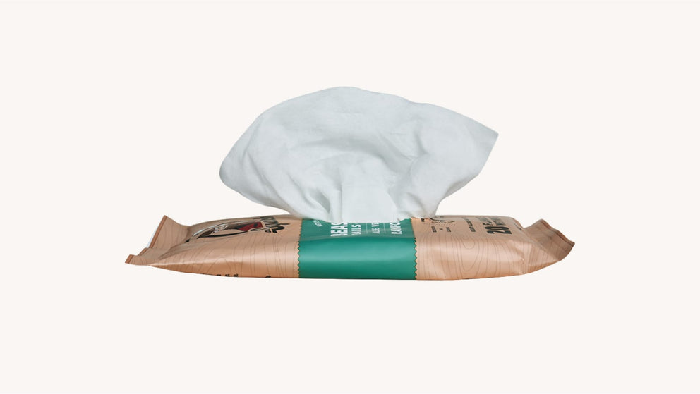 Rainforest Rapids Wipes - Dr. Squatch